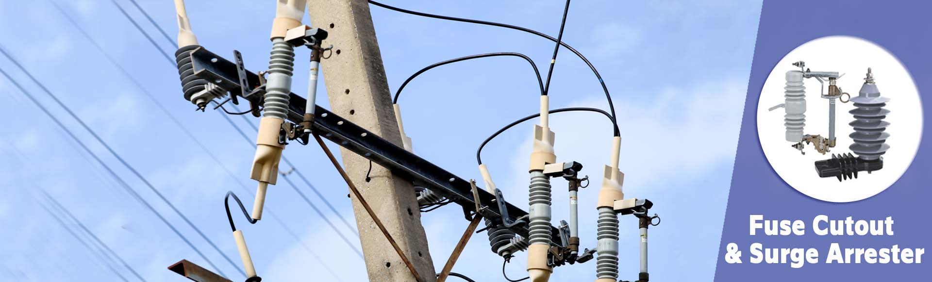 Fuse Cutout & Surge Arrester for Power Pole Distribution Line ...
